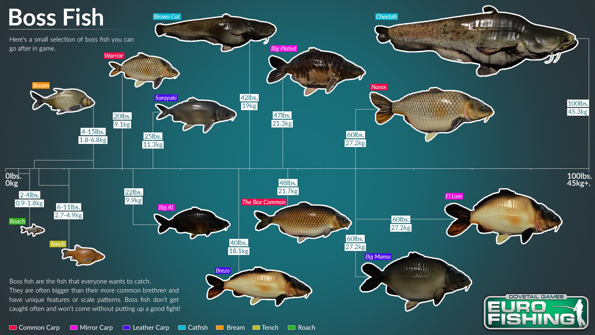 Euro Fishing Review: The Most Realistic Fishing Simulator Yet - BagoGames